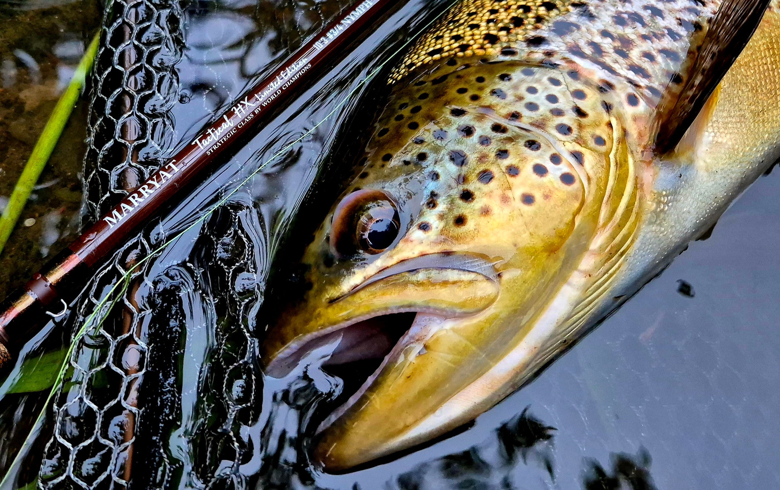 Fly Fishing Accessories – Chuck N Duck Fly Tying Materials