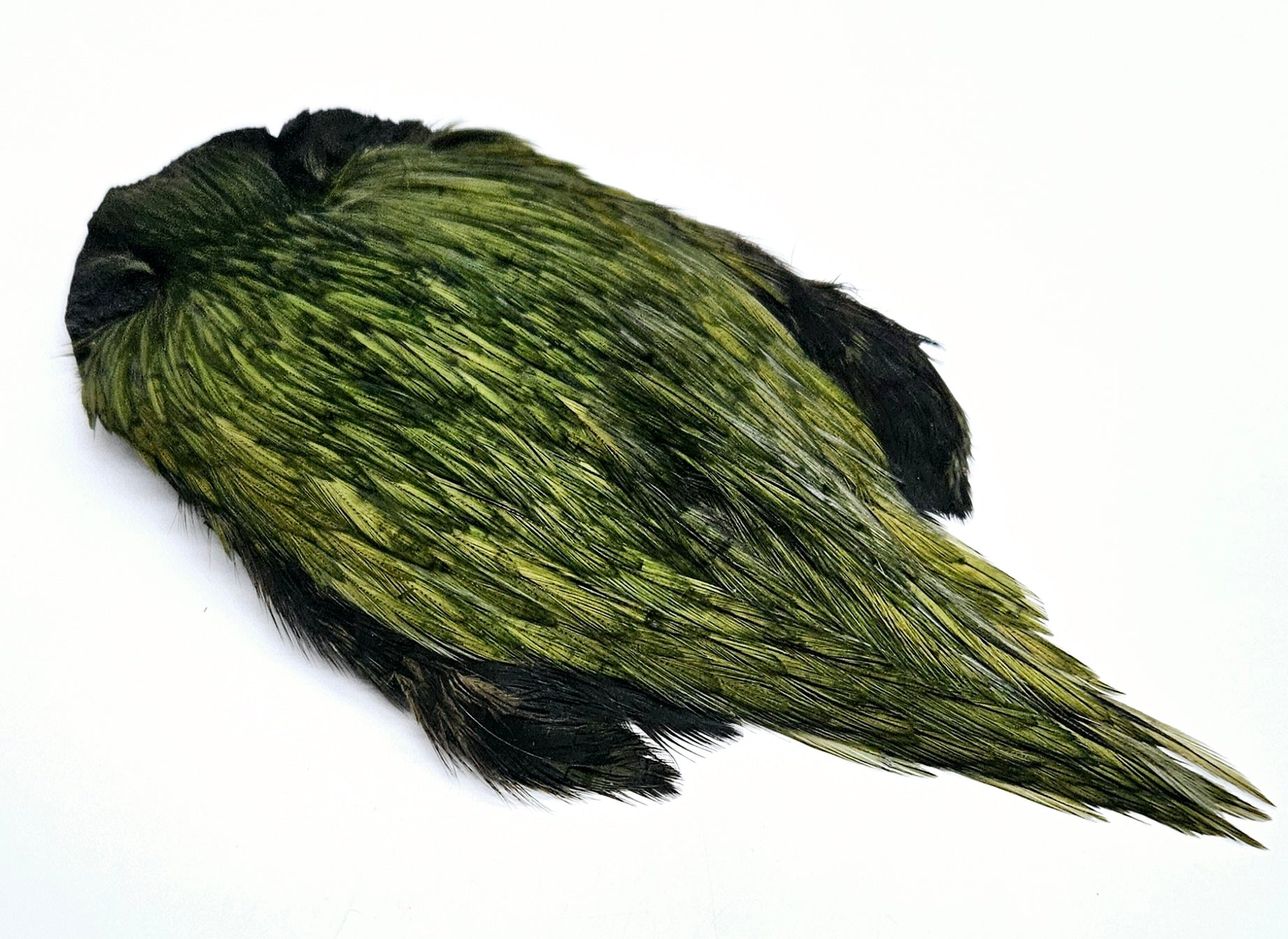 Turrall Cock Neck — Chuck N Duck Fly Tying Materials