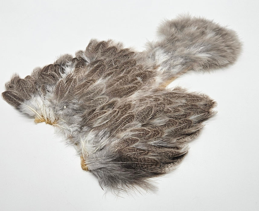 Whiting Farms - Brahma Hen Soft Hackle/Chickabou — Chuck N Duck Fly ...