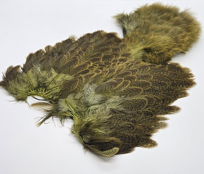 Whiting Farms - Brahma Hen Soft Hackle/Chickabou — Chuck N Duck Fly ...