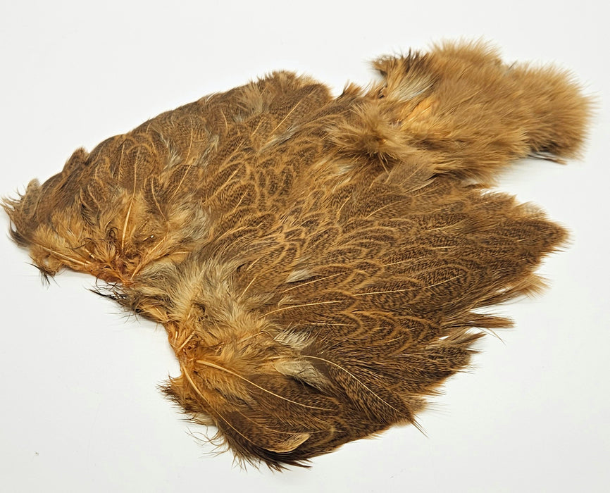 Whiting Farms - Brahma Hen Soft Hackle/Chickabou — Chuck N Duck Fly ...
