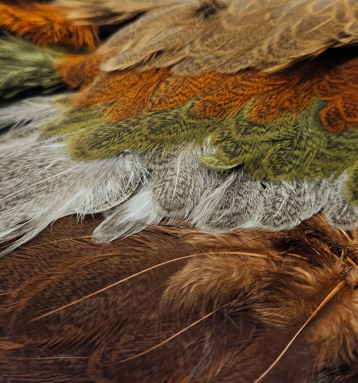 Whiting Farms - Brahma Hen Soft Hackle/Chickabou — Chuck N Duck Fly ...