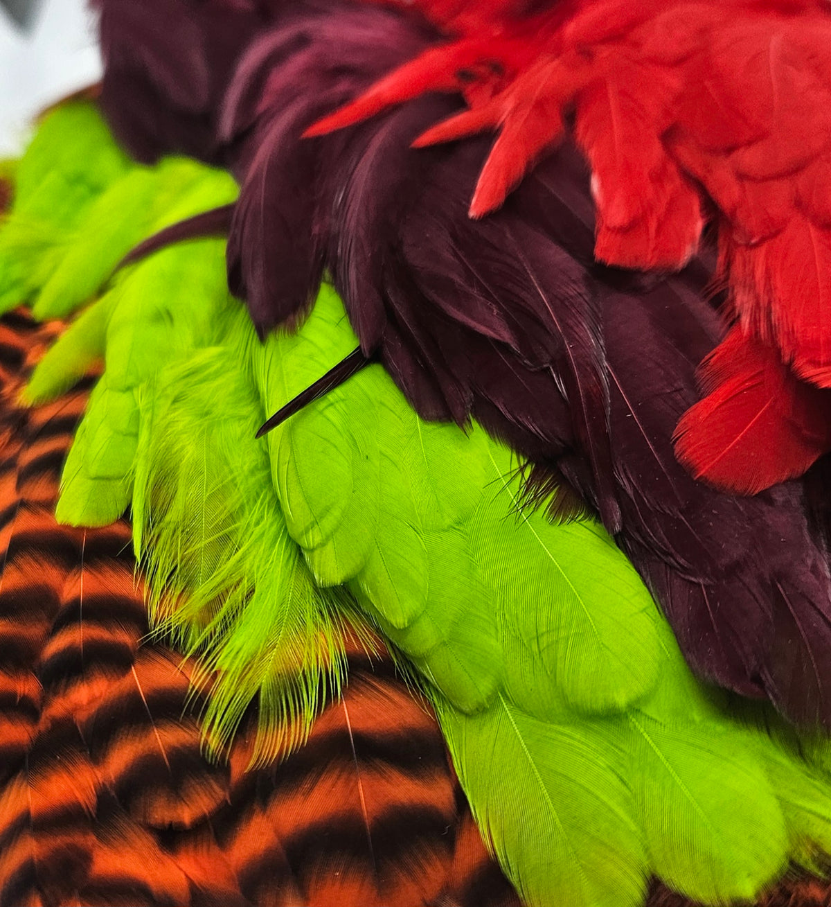 Whiting Farms - Rooster Soft Hackle/Chickabou — Chuck N Duck Fly Tying ...