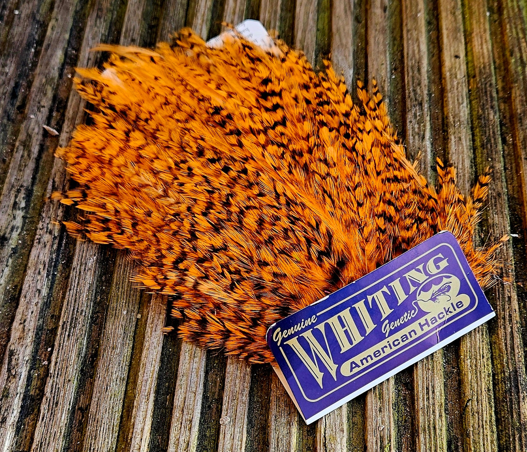 Whiting Farms - American Streamer Pack — Chuck N Duck Fly Tying Materials