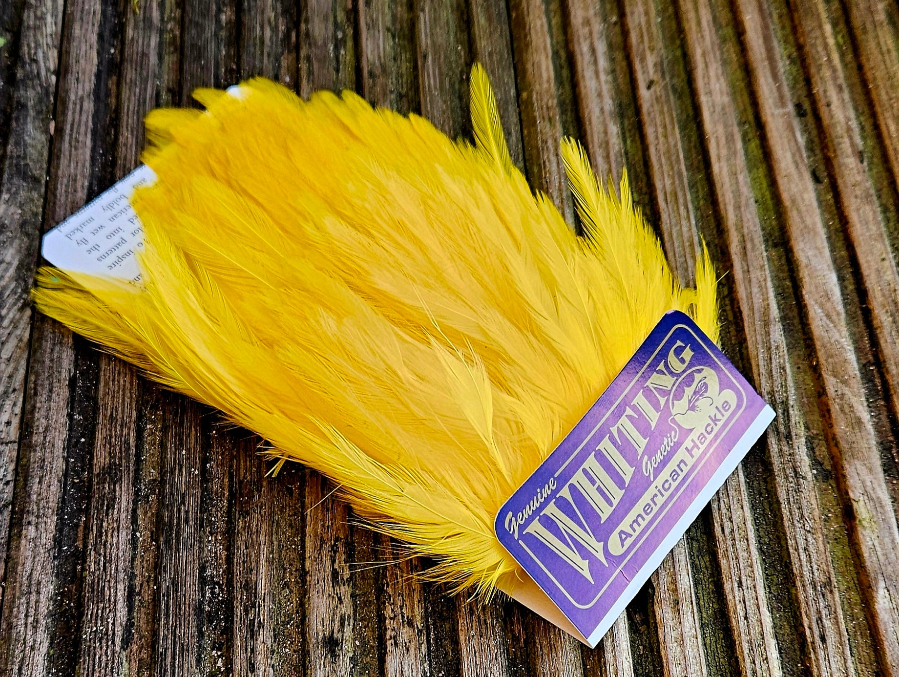 Whiting Farms - American Streamer Pack — Chuck N Duck Fly Tying Materials