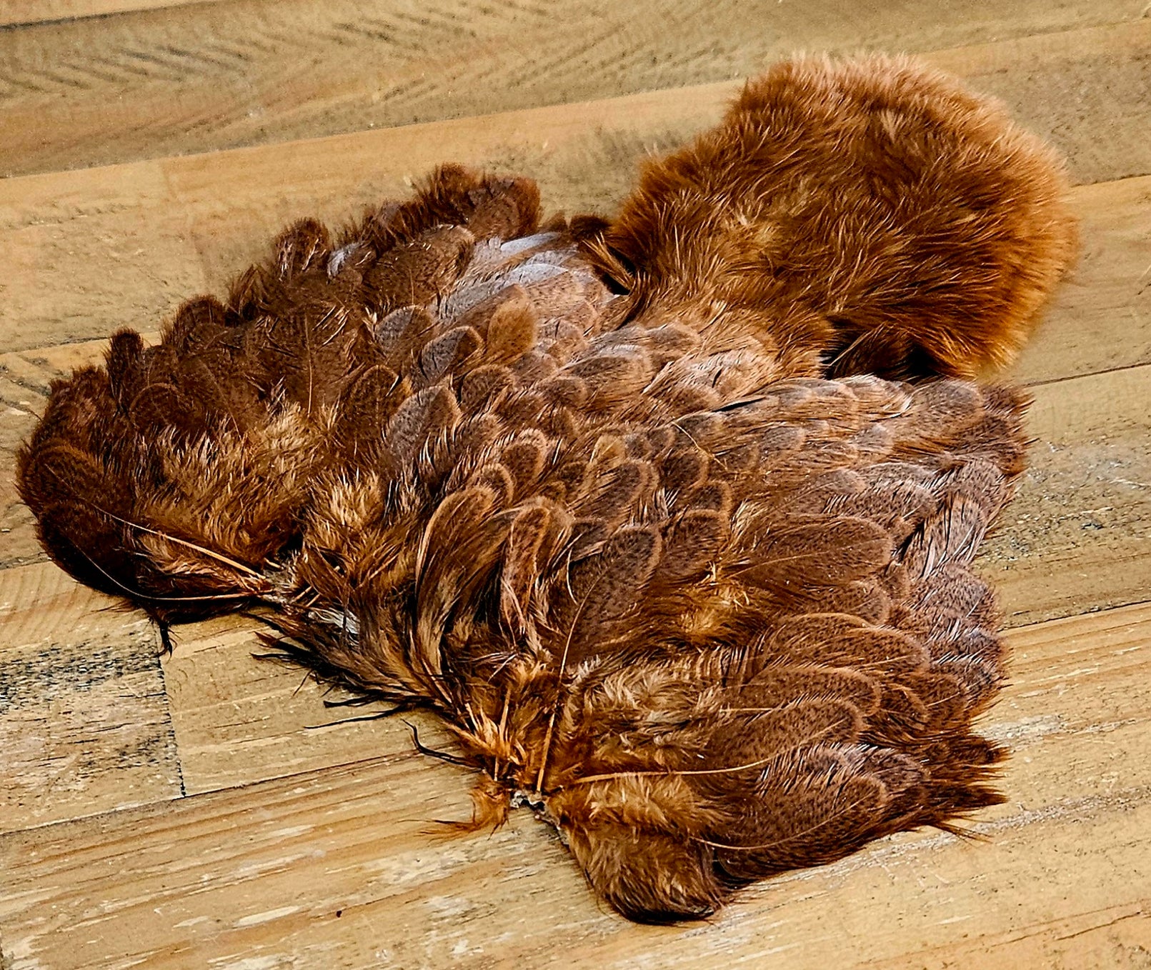 Whiting Farms - Brahma Hen Soft Hackle/Chickabou — Chuck N Duck Fly ...