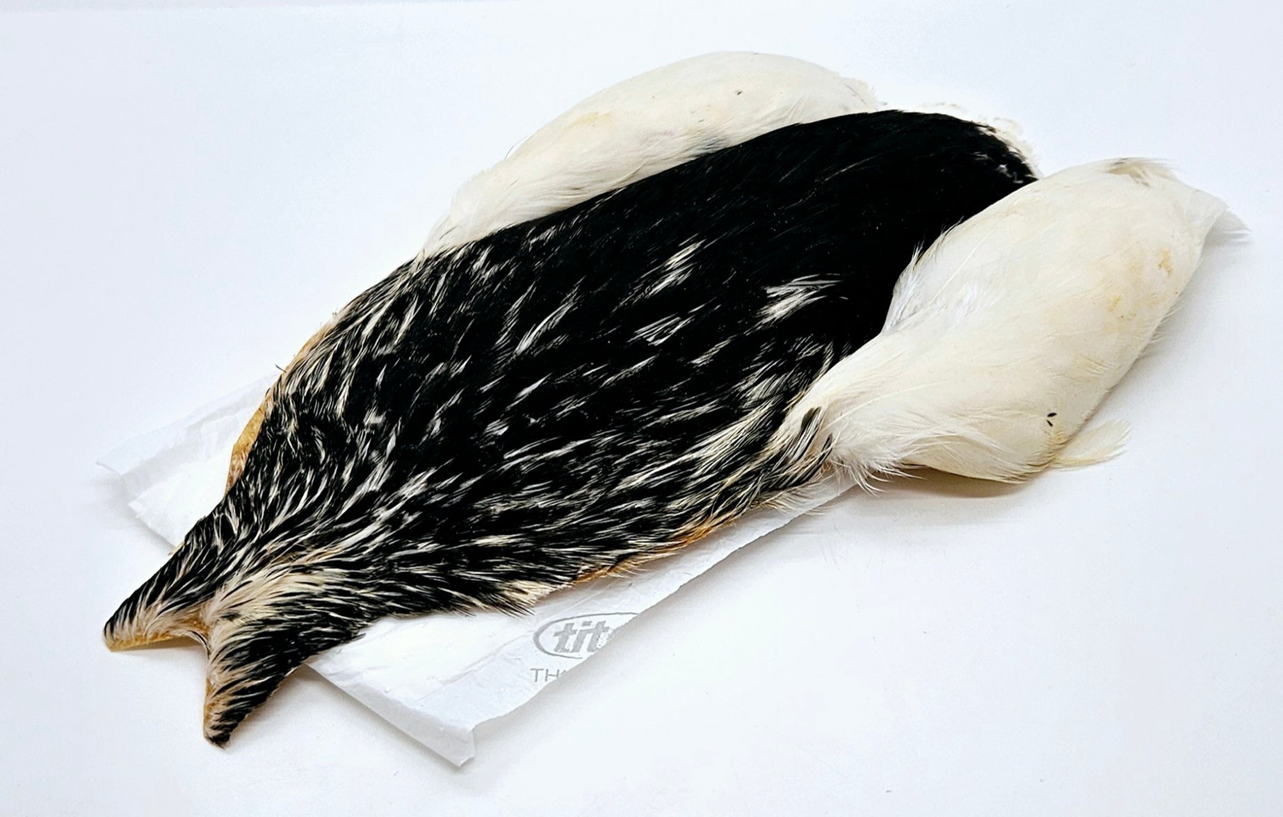 Whiting Farms 4Bs Hen Cape — Chuck N Duck Fly Tying Materials