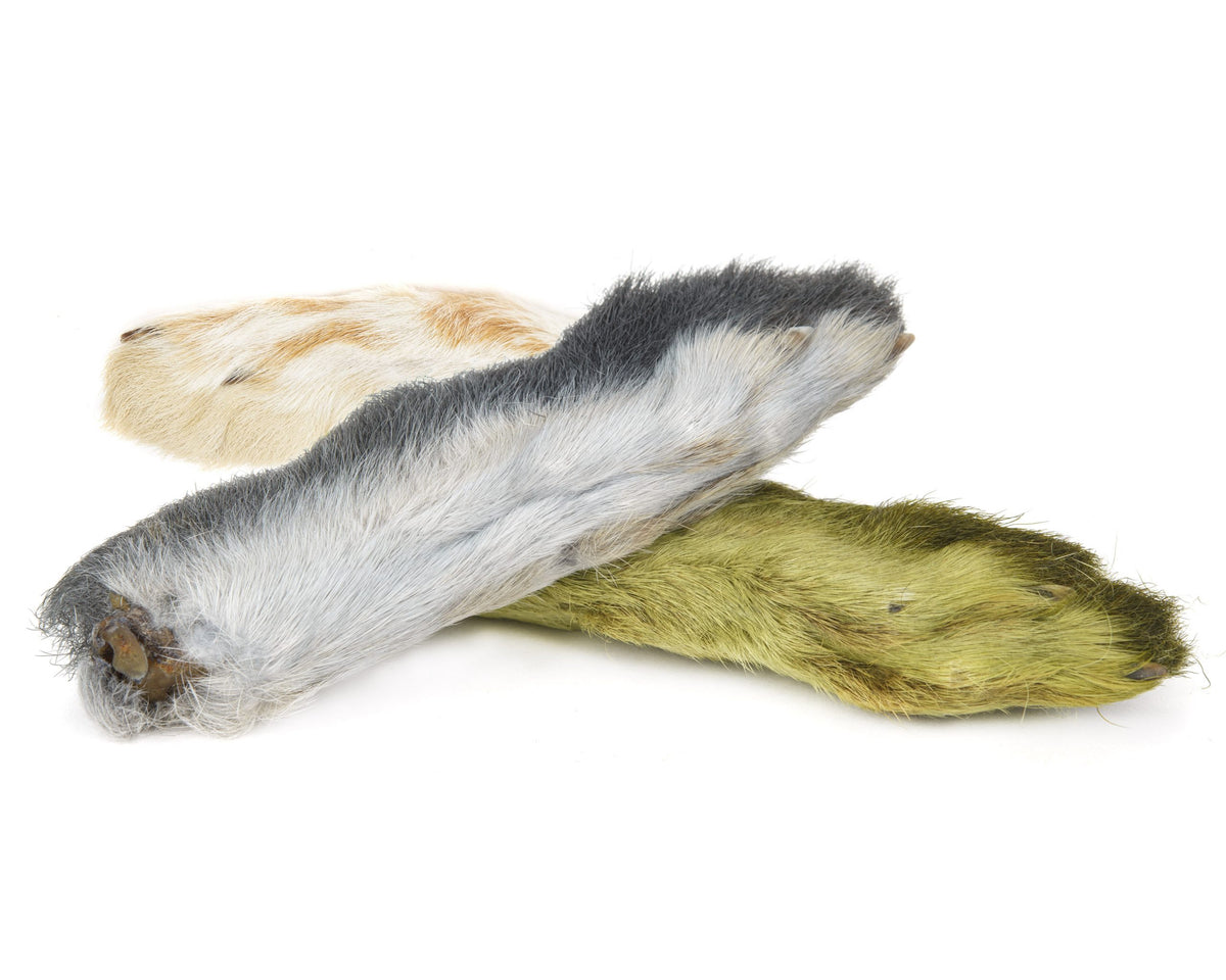 Nature's Spirit Snowshoe Rabbit Foot — Chuck N Duck Fly Tying Materials