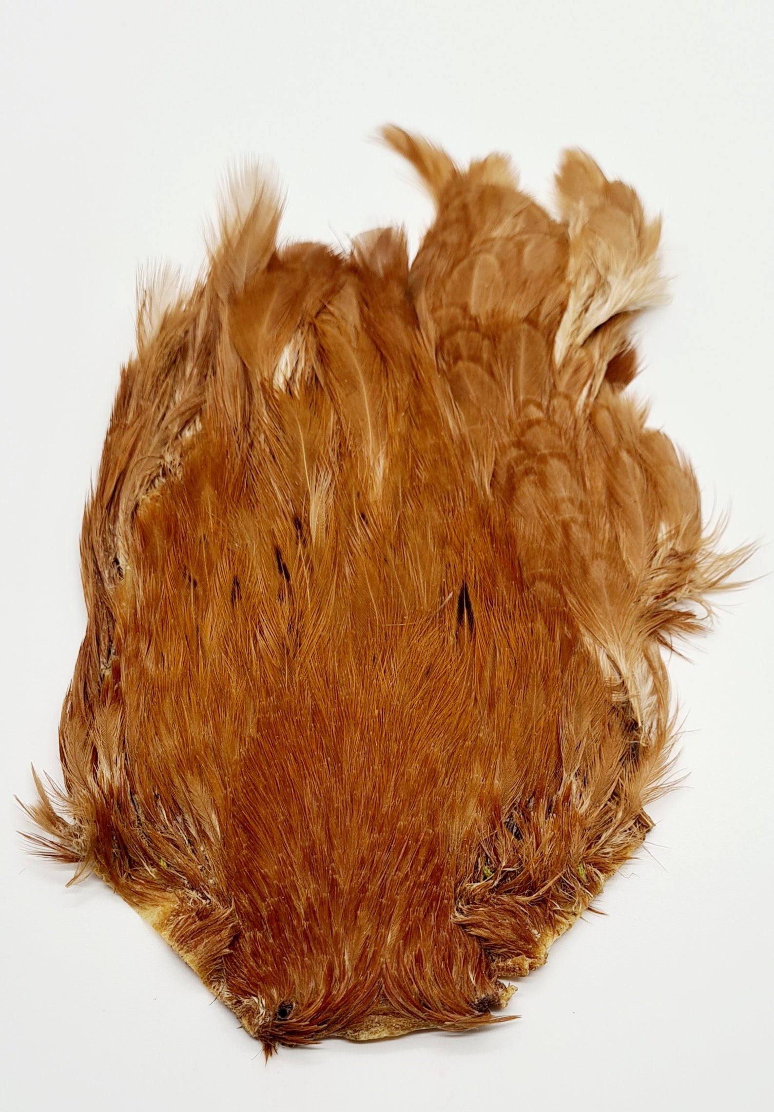 Turrall Hen Neck — Chuck N Duck Fly Tying Materials