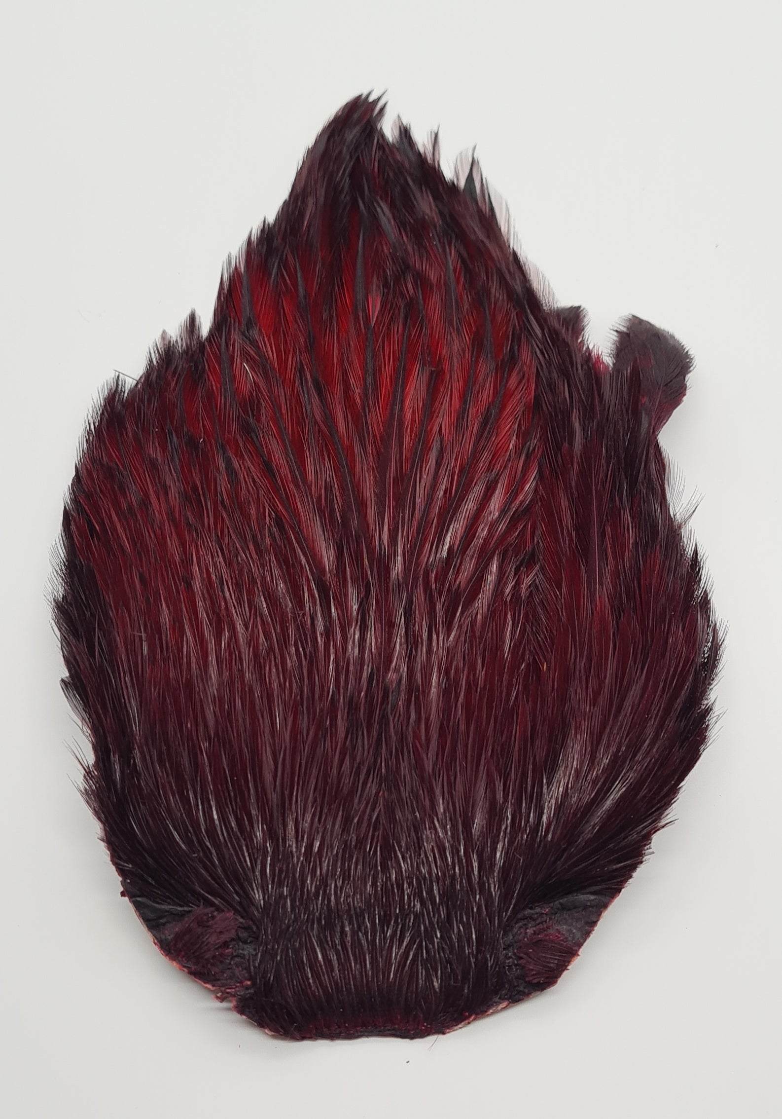 Turrall Cock Neck — Chuck N Duck Fly Tying Materials